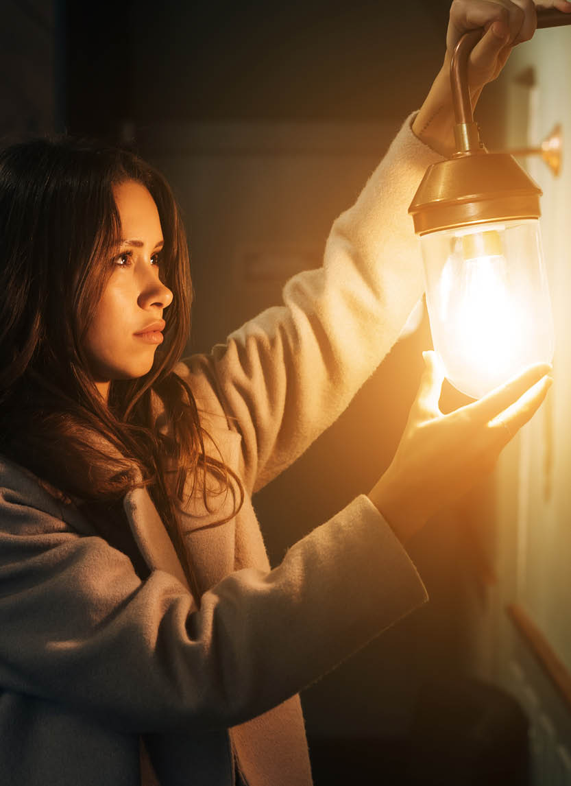 Brands Group - TransEquity Network